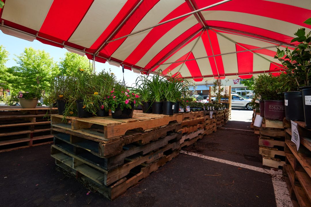 Classic Tents & Events | Long-Term Tent Leasing